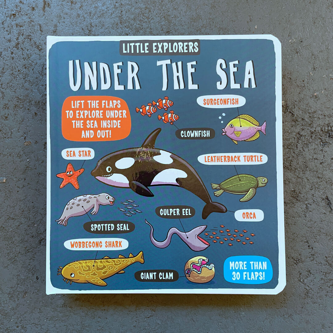Little Explorers: Under the Sea – BAM Store + Space