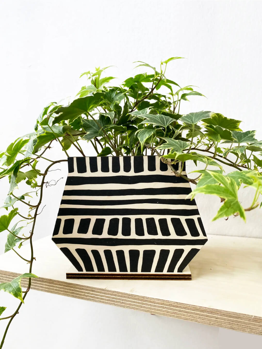 Wooden Pot Screens – BAM Store + Space